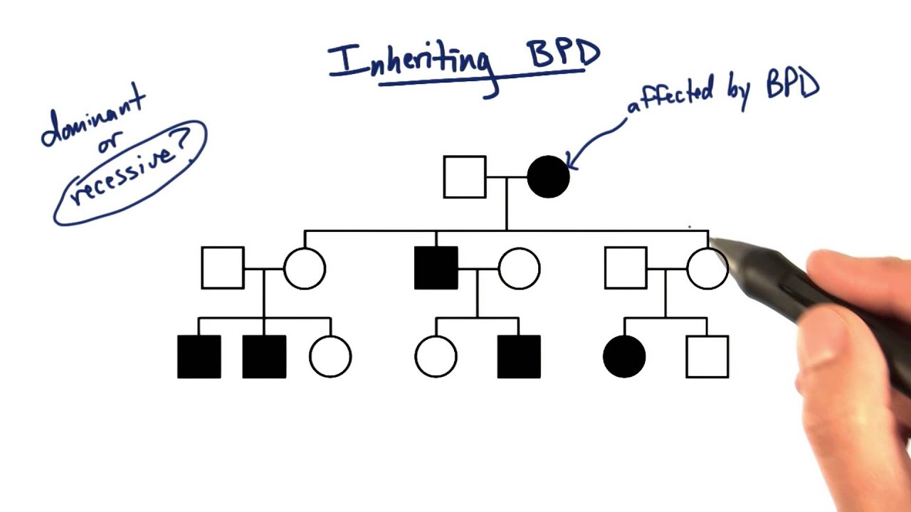 Complex Pedigree - Tales from the Genome - YouTube