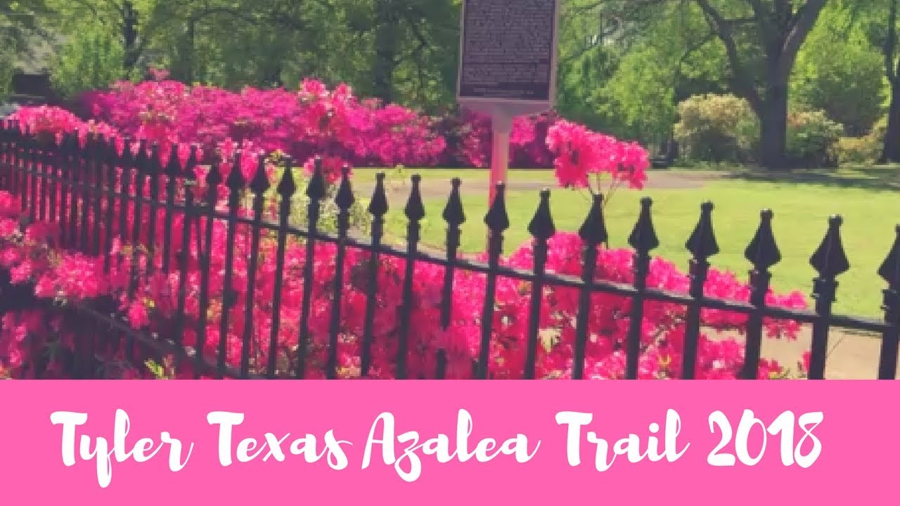 Come Tour THE AZALEA TRAIL With Us! - YouTube