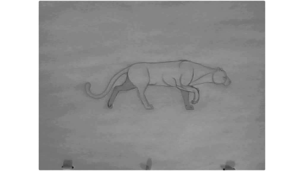 Panther walk cycle - YouTube