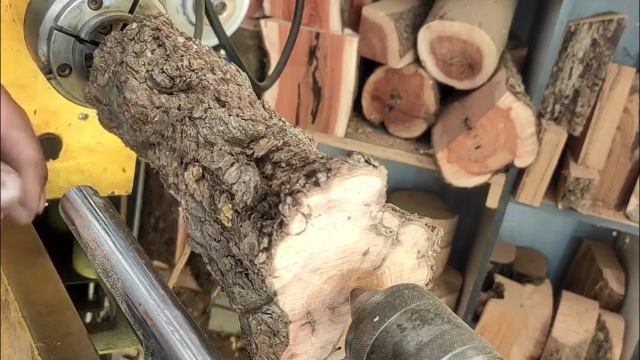 woodturning mastic tree wood candlestick using skew chisel for practice ...