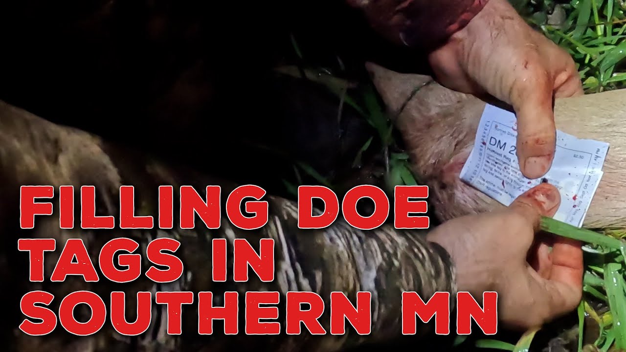 Double Doe Takedown! | How to Cooler-Age a Deer - YouTube
