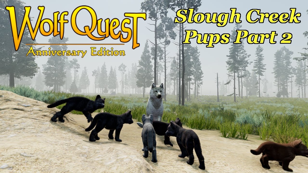 Wolf Quest 3 - Slough Creek Pups Episode on Accurate Part 2 - YouTube