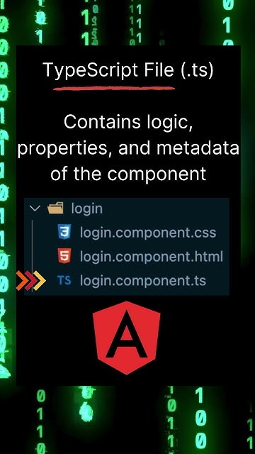Anatomy Of An Angular Component Shorts Angular Fullstackdev Code Coding Webapp Frontend