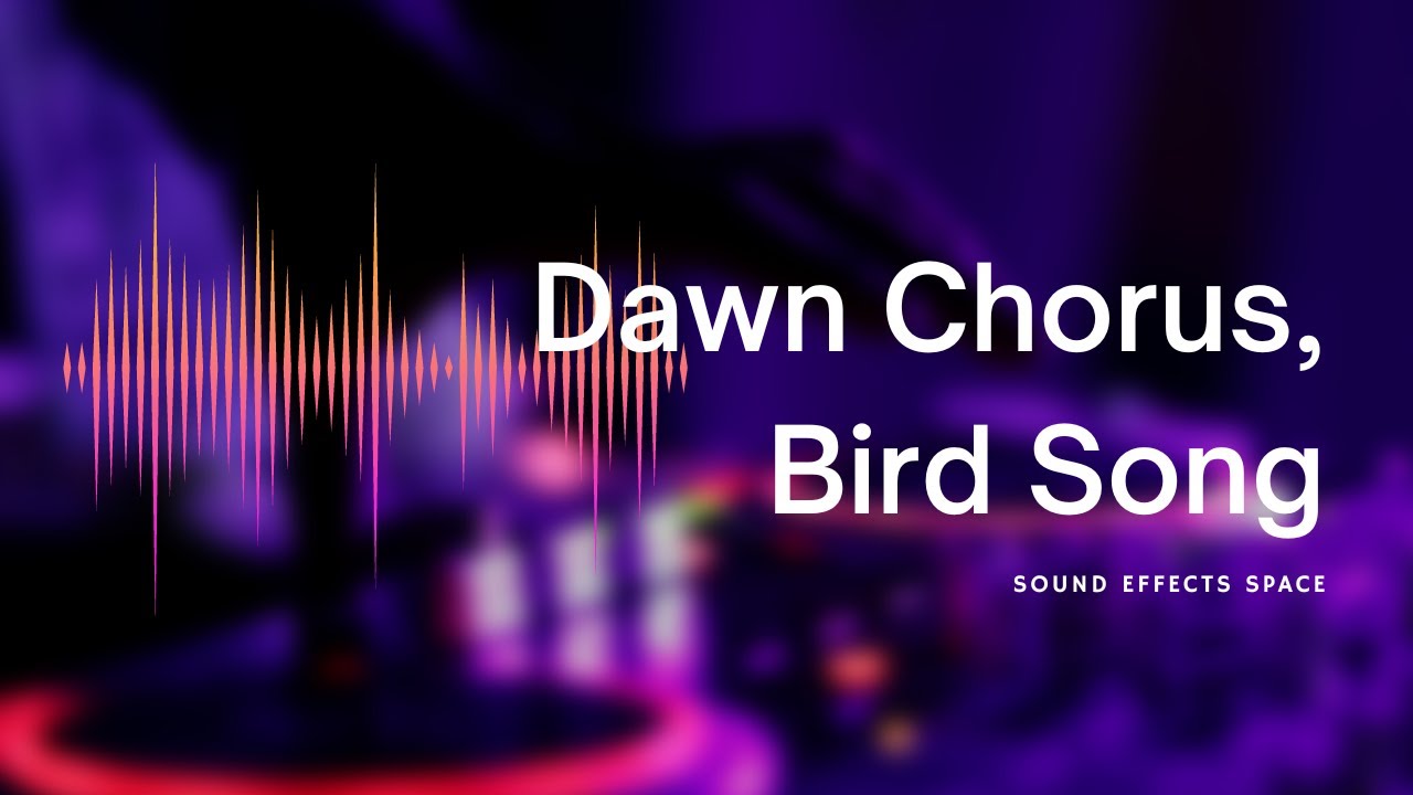 Dawn Chorus, Bird Song, Sound Effect - YouTube
