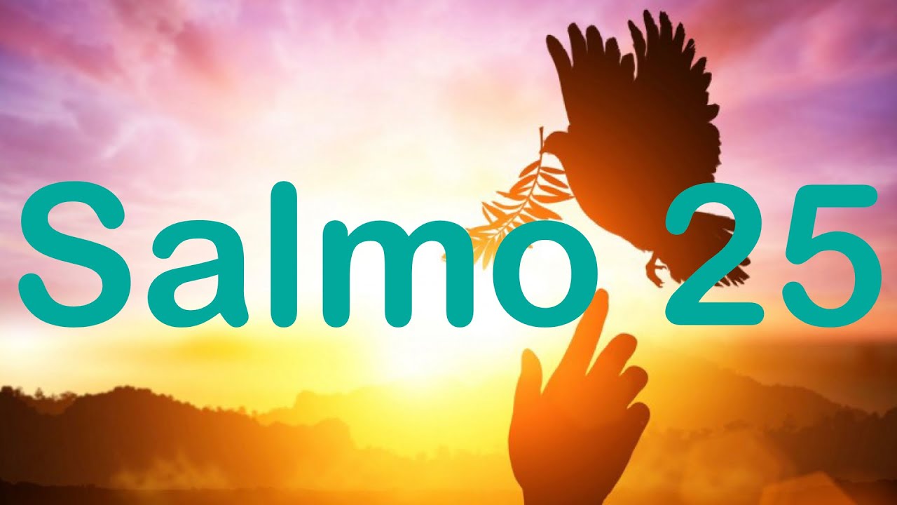 Salmo 25 - Invocar a Dios en la prueba. (Biblia católica ...