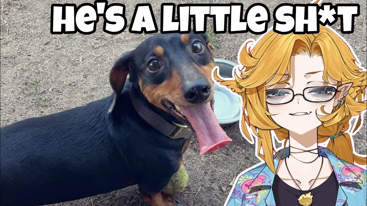Doki gets ragebaited by her dog - YouTube