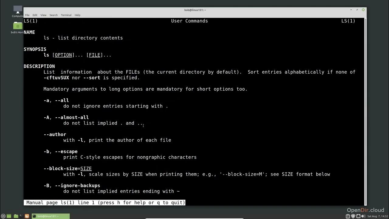 008 Command Line Arguments and Options - YouTube