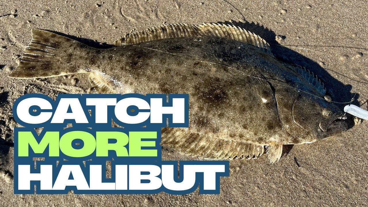 Catch More Halibuts With These Jerkbaits and Drop-Shot Rigs - YouTube
