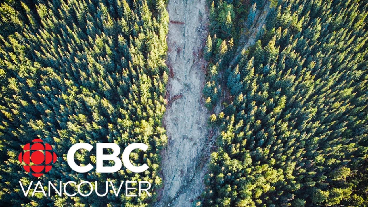 Calls grow for improved safety on B.C.'s forest service roads - YouTube