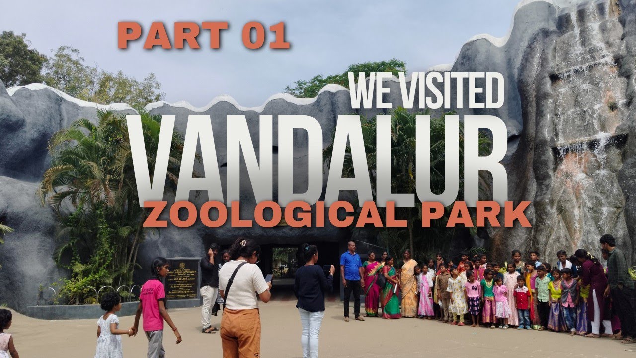 visited Vandalur zoo🦁 with my friends after decades 😇 #intro || part 01 ...