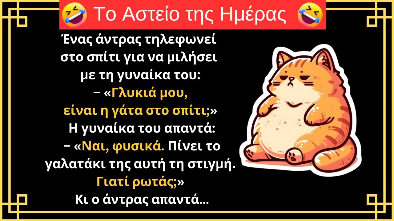 😂ΠΟΛΥ ΓΕΛΙΟ | Ο Άντρας και η Έξυπνη Γάτα! | ΑΣΤΕΙΟ ΑΝΕΚΔΟΤΟ! - YouTube
