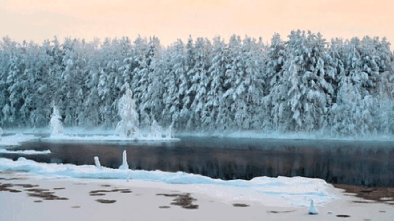 Taiga Biome - YouTube