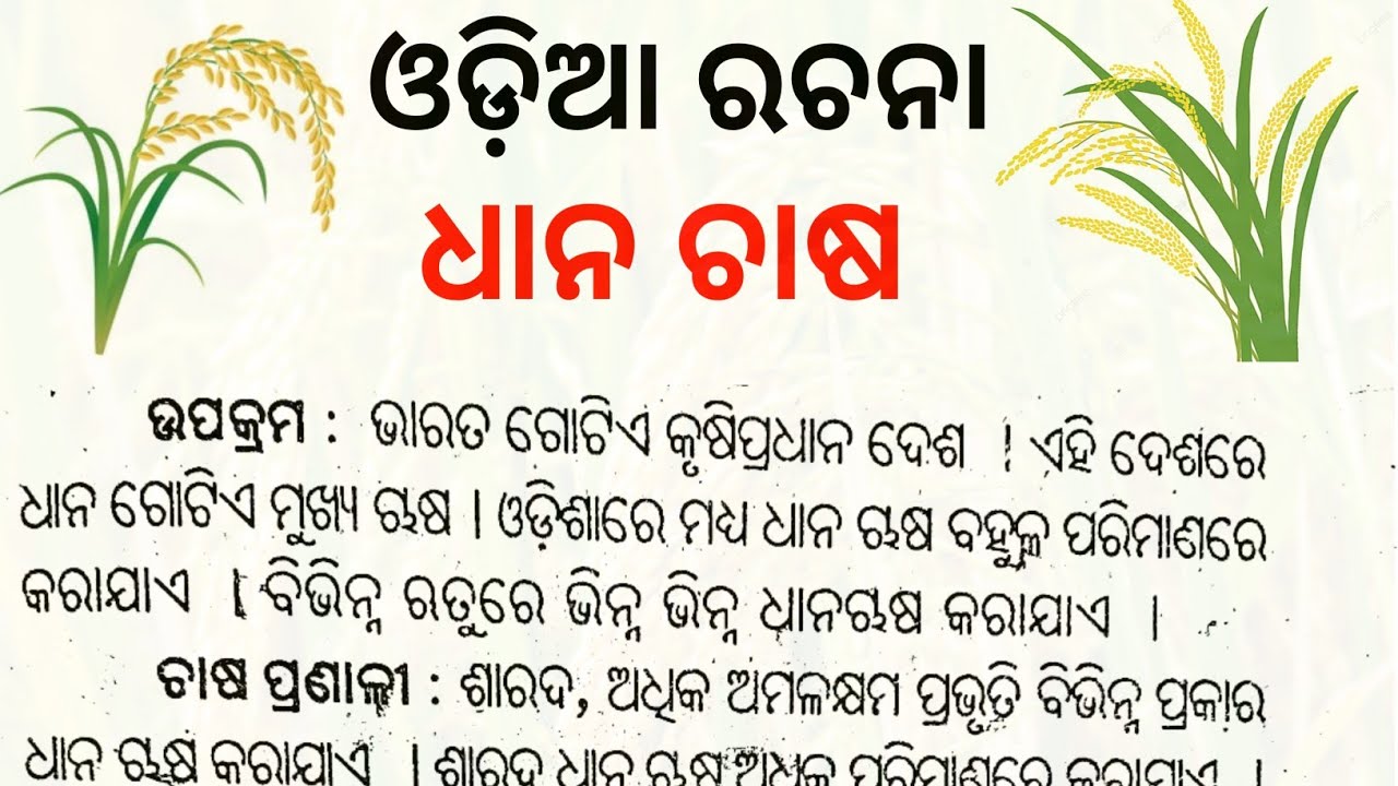 Dhana Chasa Essay In Odia Dhana Chasa Odia Rachana Dhana Chasa Essay In Odia Dhana Chasa Odia Rachana