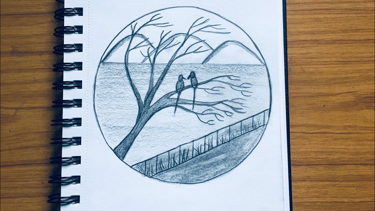 Easy Scenery Drawing With Pencil | Bird on Tree Drawing - YouTube