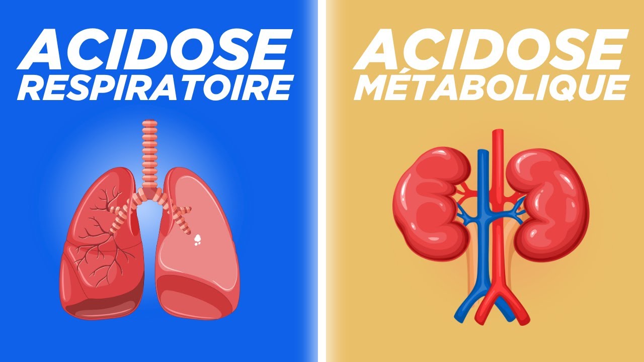 Acidose Respiratoire vs Métabolique : Tout Savoir En 80 Secondes - YouTube