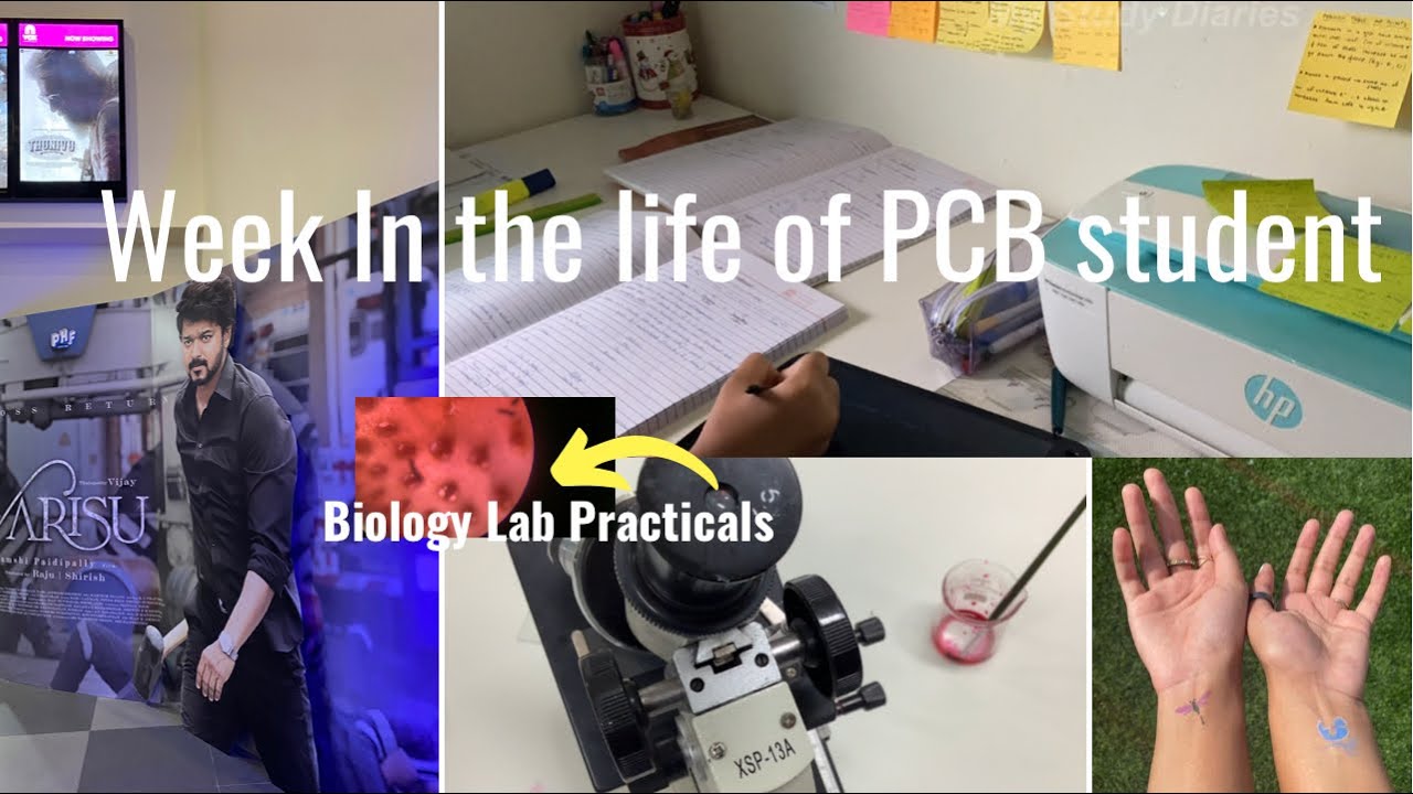 A Mini Week in my Life as a PCB student 🔬(Lab practicals, Varisu ...