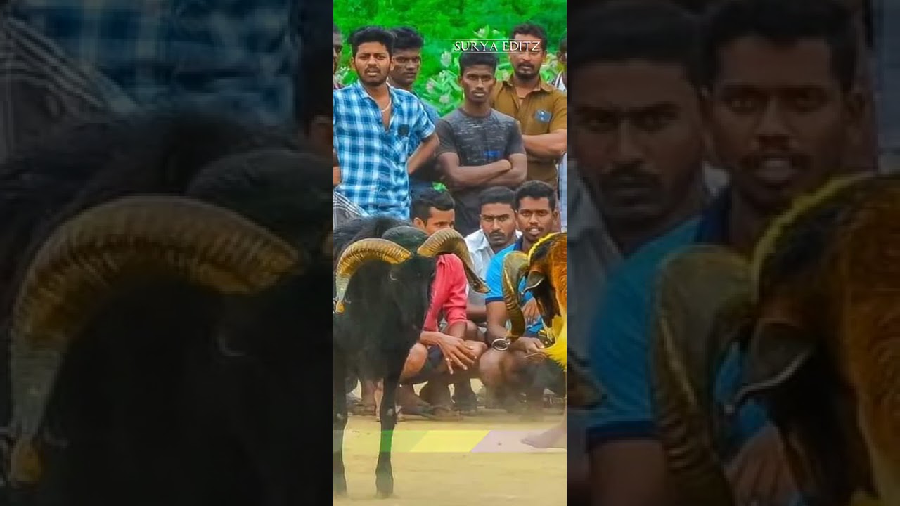 Keda Muttu Madurai|| keda Sandai - YouTube