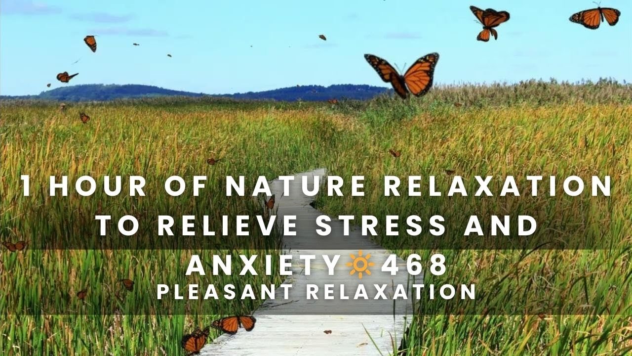 1 Hour of Nature Relaxation to Relieve Stress and Anxiety ★468 - YouTube