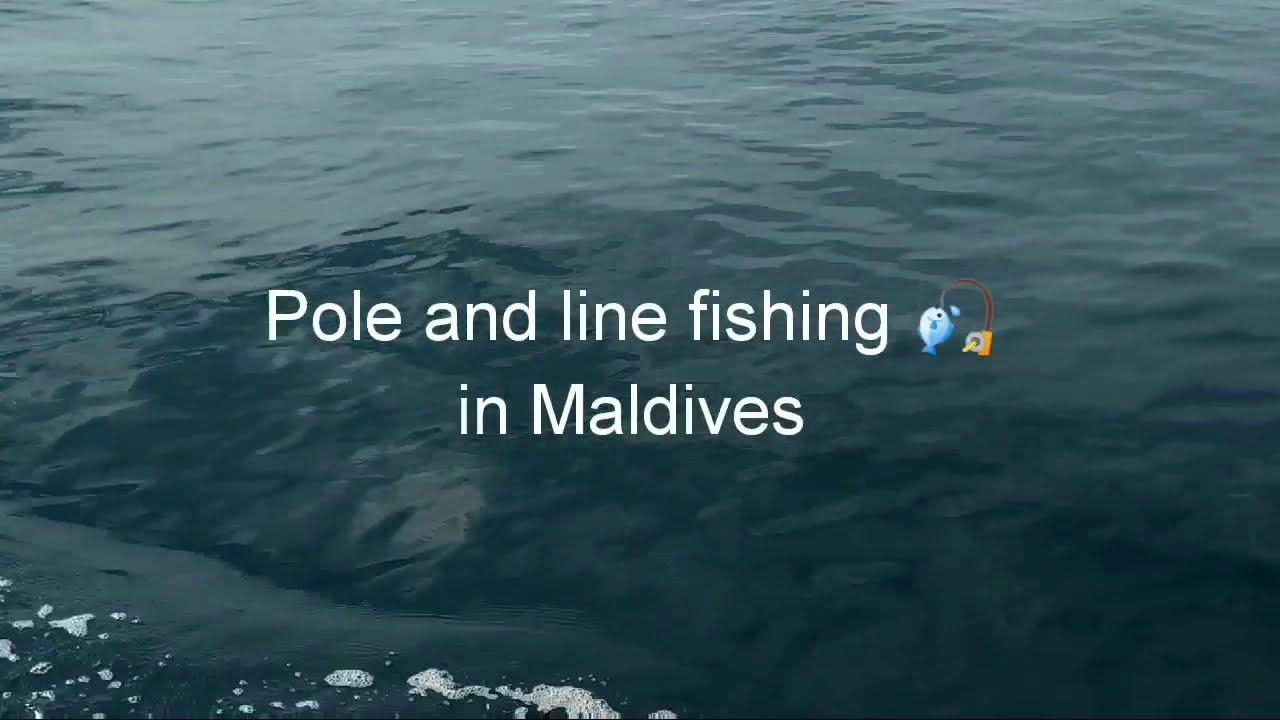 Pole and Line Fishing in Baa Atoll, Maldives - YouTube