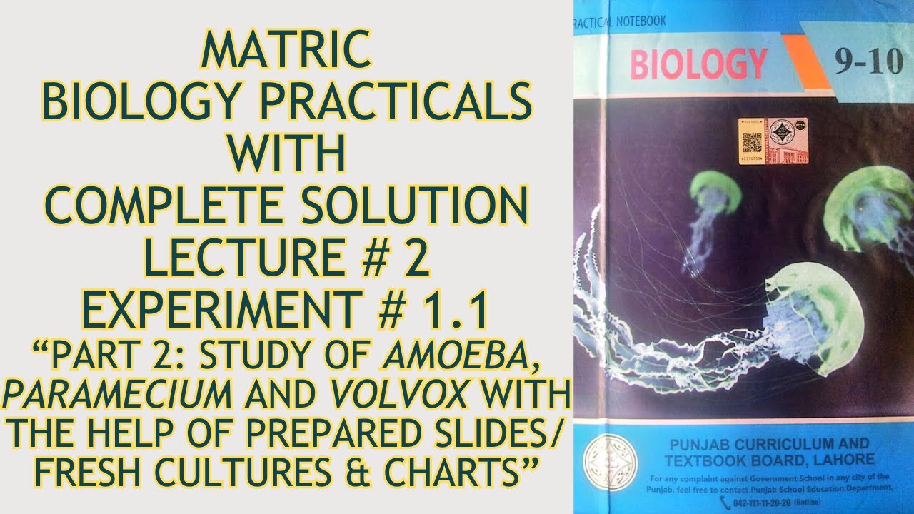 biology practicals matric//experiment 1.1//part 2//study of amoeba ...