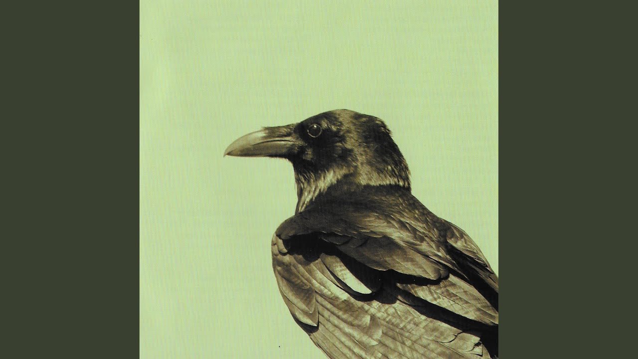 Steady Job - YouTube