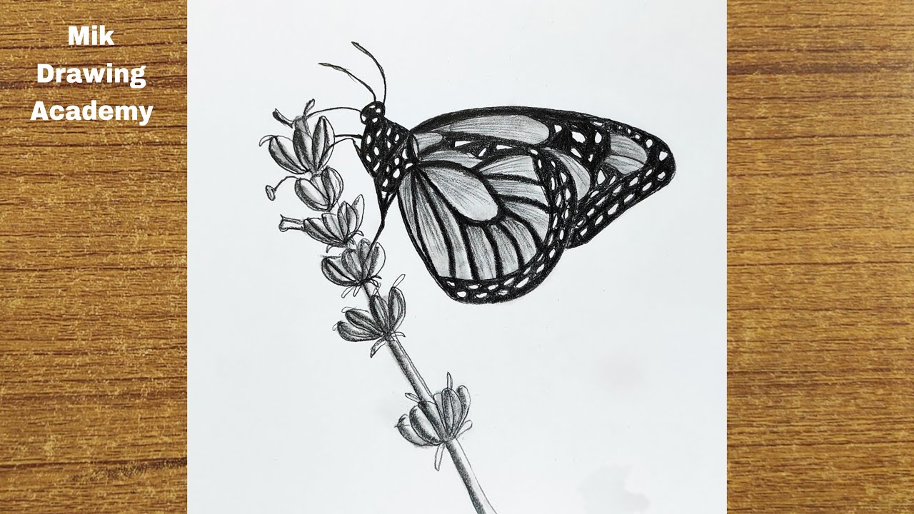 Butterfly Drawing Tutorial || Pencil Drawing || Easy Butterfly Drawing ...