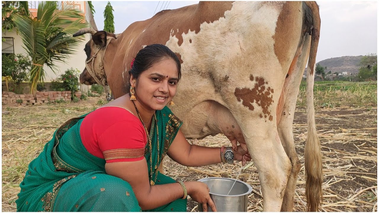 Village Real Life Vlog!!! Cow Milking By Hand 🥰 - YouTube