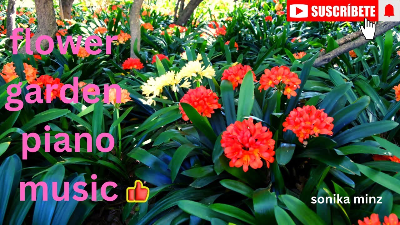 🌺🎹 Mesmerizing Flower Garden Piano Music to Soothe Your Soul | Relaxing ...