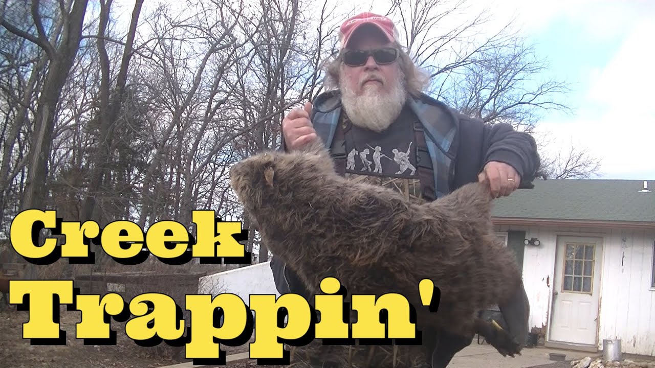 Winter Missouri Creek Trapping - YouTube