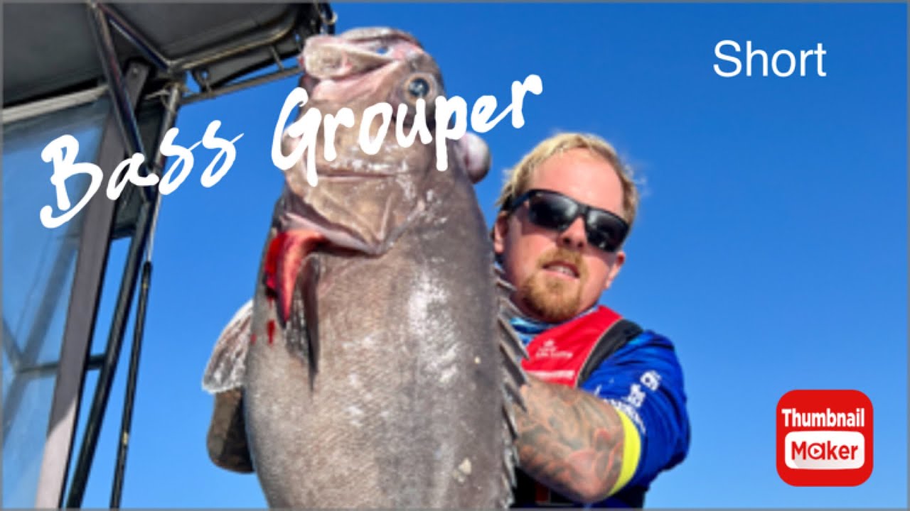 15kg Bass Grouper - Deep Drop Offshore Rockingham (Short) - YouTube