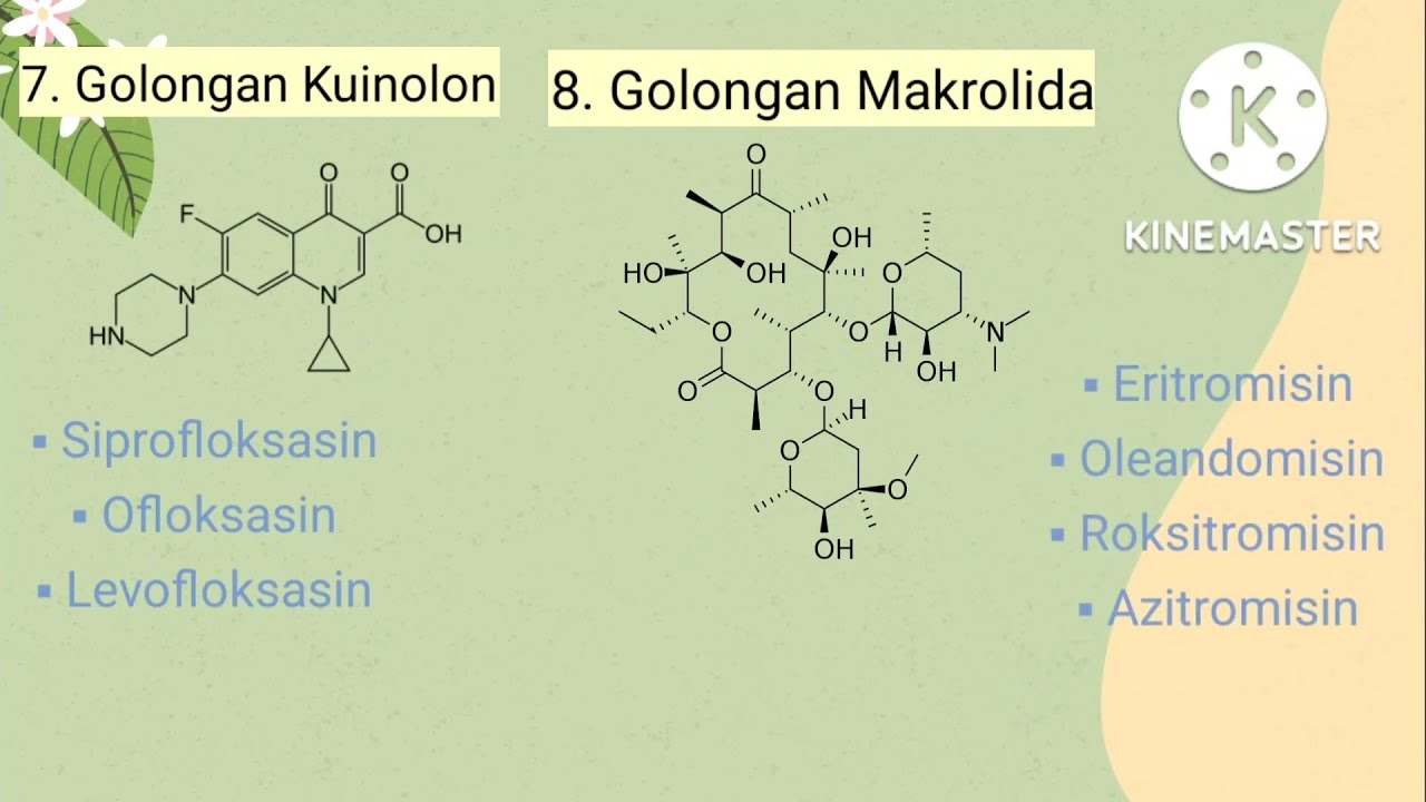 Penggolongan Antibiotik - YouTube