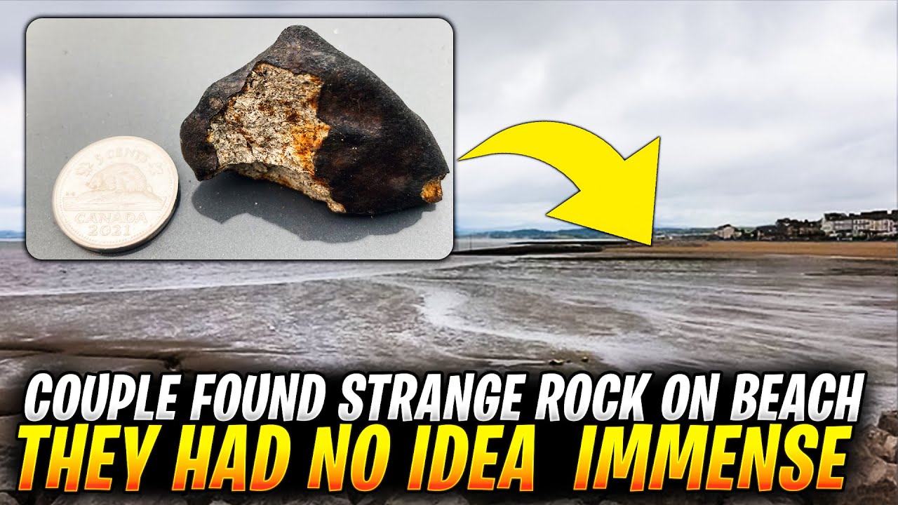 When A Couple Found This Strange Rock On A Beach They Had No Idea Of ...