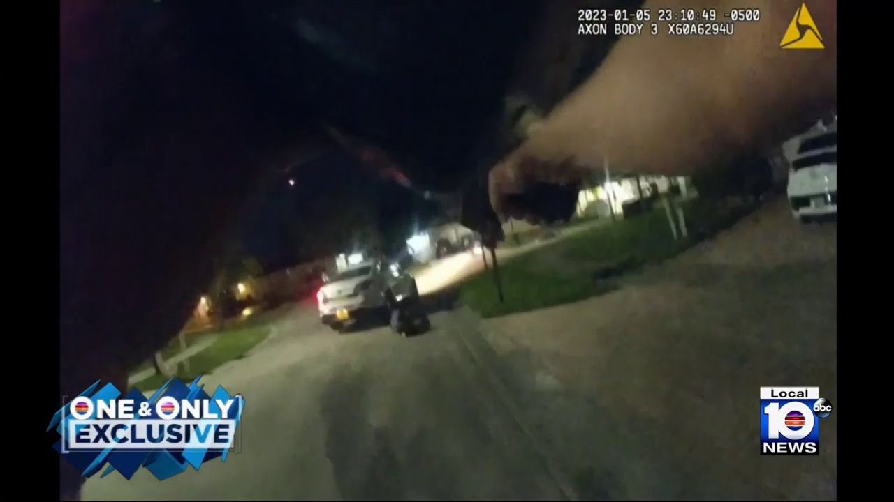video-shows-police-confronting-man-who-stabbed-woman-ran-her-over