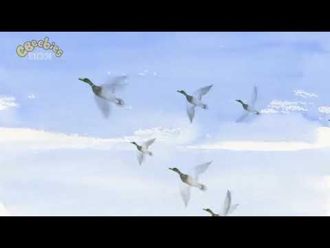 'Poppies' on CBeebies   Children's Remembrance Day 2 Minutes' Silence Alternative