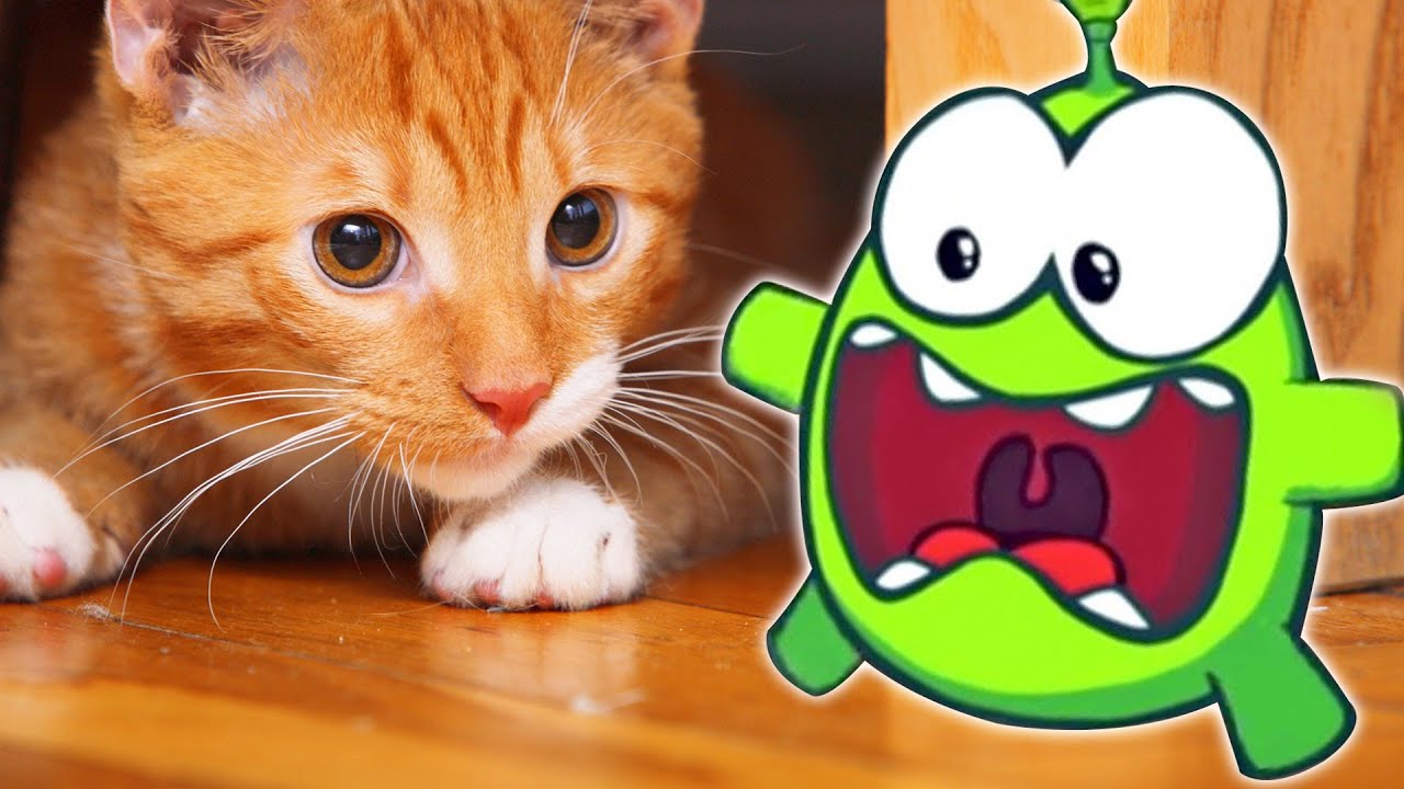 Om Nom Stories Stagione 1 Episodio 1- 5 | Om Nom e Gatto - YouTube