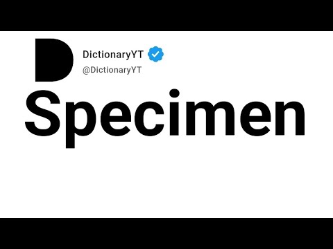 Specimen Synonyms | Thesaurus | Similar Words - YouTube