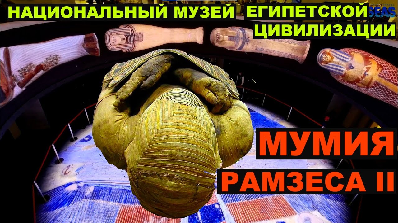 НАЦИОНАЛЬНЫЙ МУЗЕЙ ЕГИПЕТСКОЙ ЦИВИЛИЗАЦИИ_КОРОЛЕВСКИЕ МУМИИ _RAMSES II ...