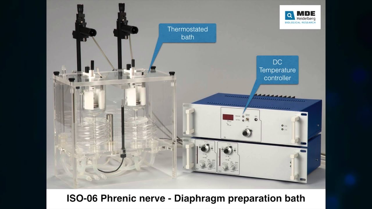 Self thermostated isolated organ bath system for phrenic nerve ...