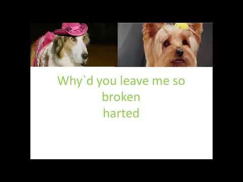 Pup star Tiny and Emili Rose Broken Hearted lyrics