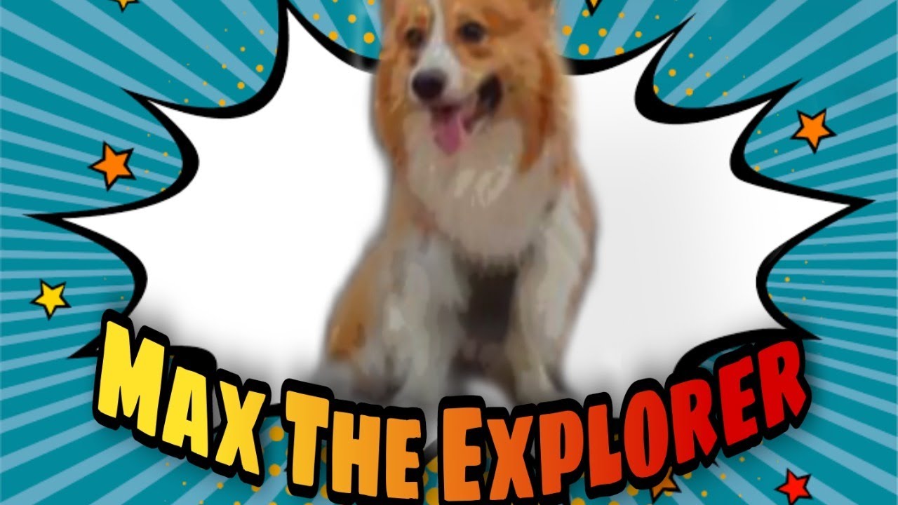 Max the Explorer, lakwatsa again| Max the Corgi - YouTube