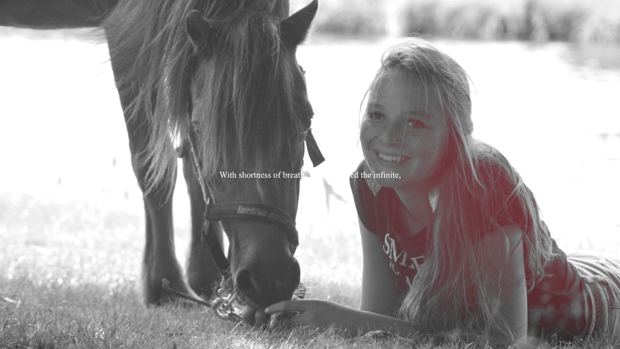 One year without you - YouTube