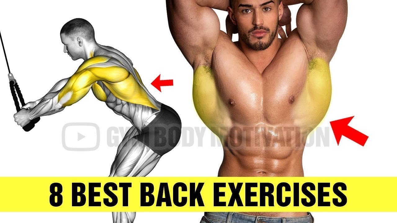bigger back workout at home😱back workout desi gym 🔥back ko best ...
