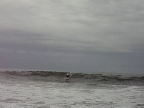 Matt George Surfing Big 11 - YouTube