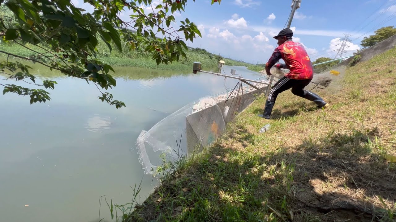 bagong isda ang bilis at matalino - YouTube