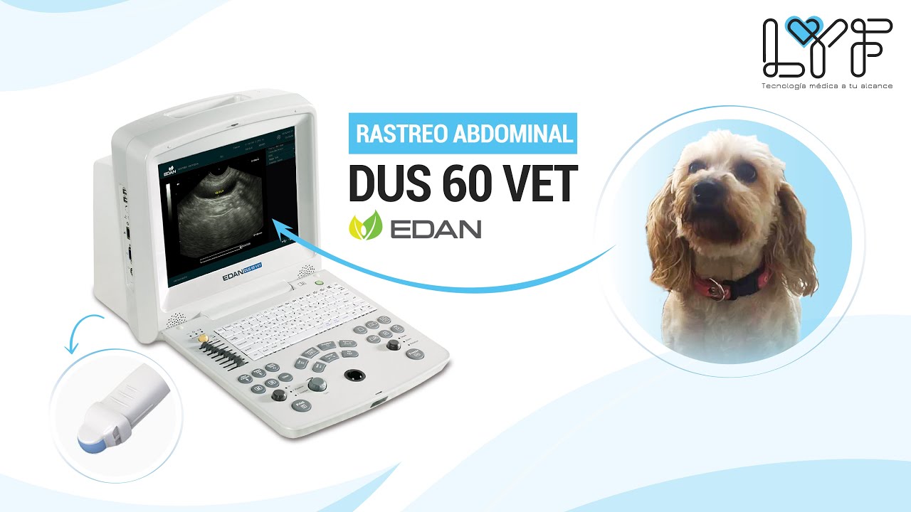¿Cómo hacer un rastreo abdominal básico en el equipo EDAN DUS 60 VET? - YouTube