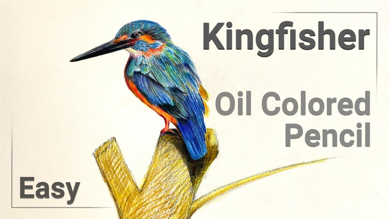 How to Draw a Kingfisher Step by Step | Easy Kingfisher Bird Drawing ...