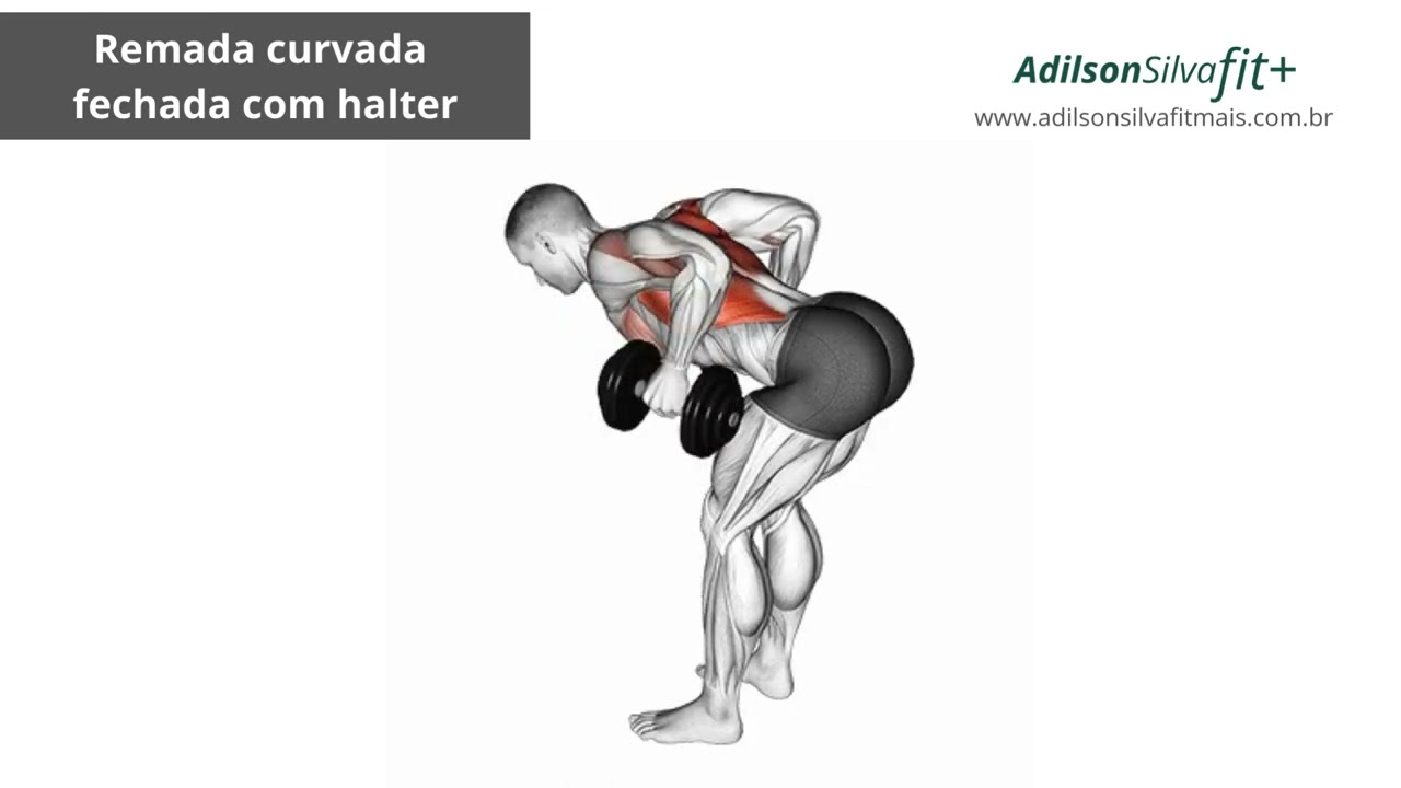 Remada Com Halteres