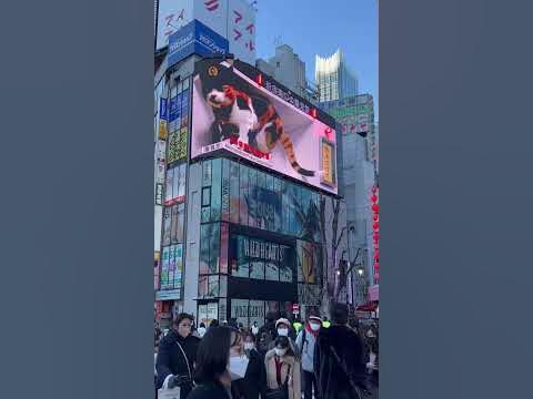 Awesome Giant 3D on a billboard Shinjuku Tokyo🇯🇵 - YouTube