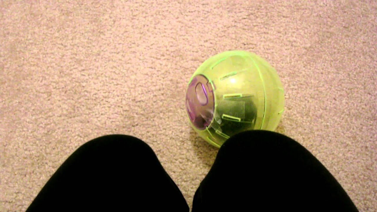 Ball Wars! Batty vs. Ducky! - YouTube