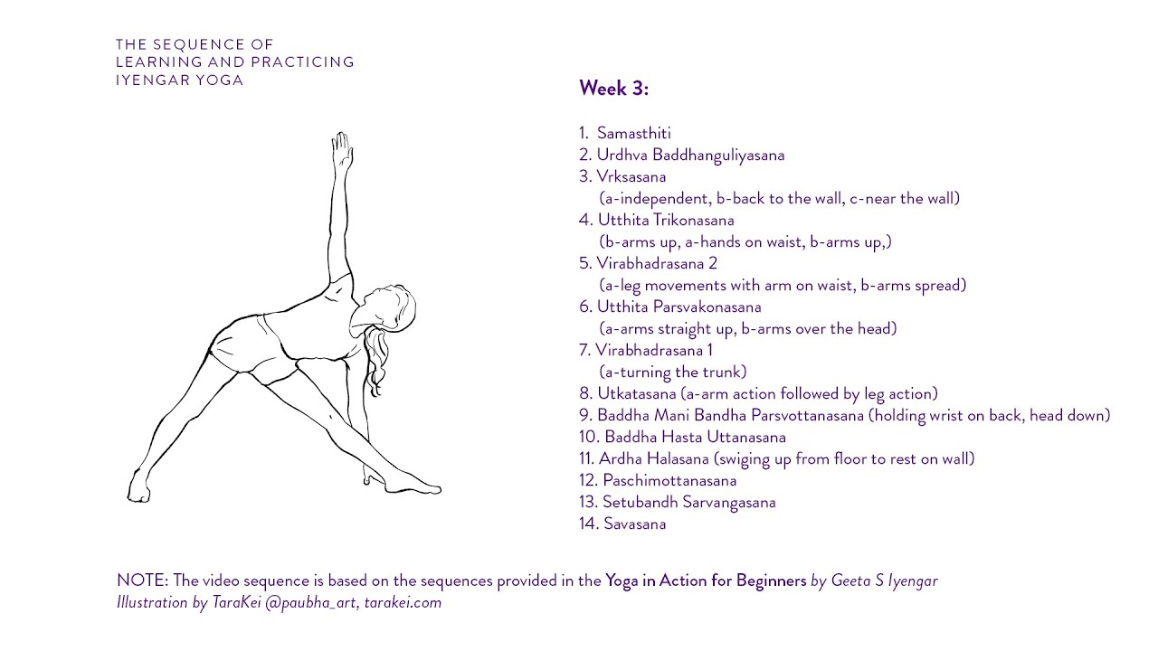 Week 3: Learning and Practicing Iyengar Yoga for Beginners - YouTube